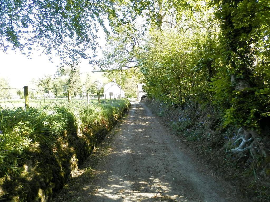 3 bedroom detached house for sale, Beili Tregroes Road, Tregroes, SA44 4NP